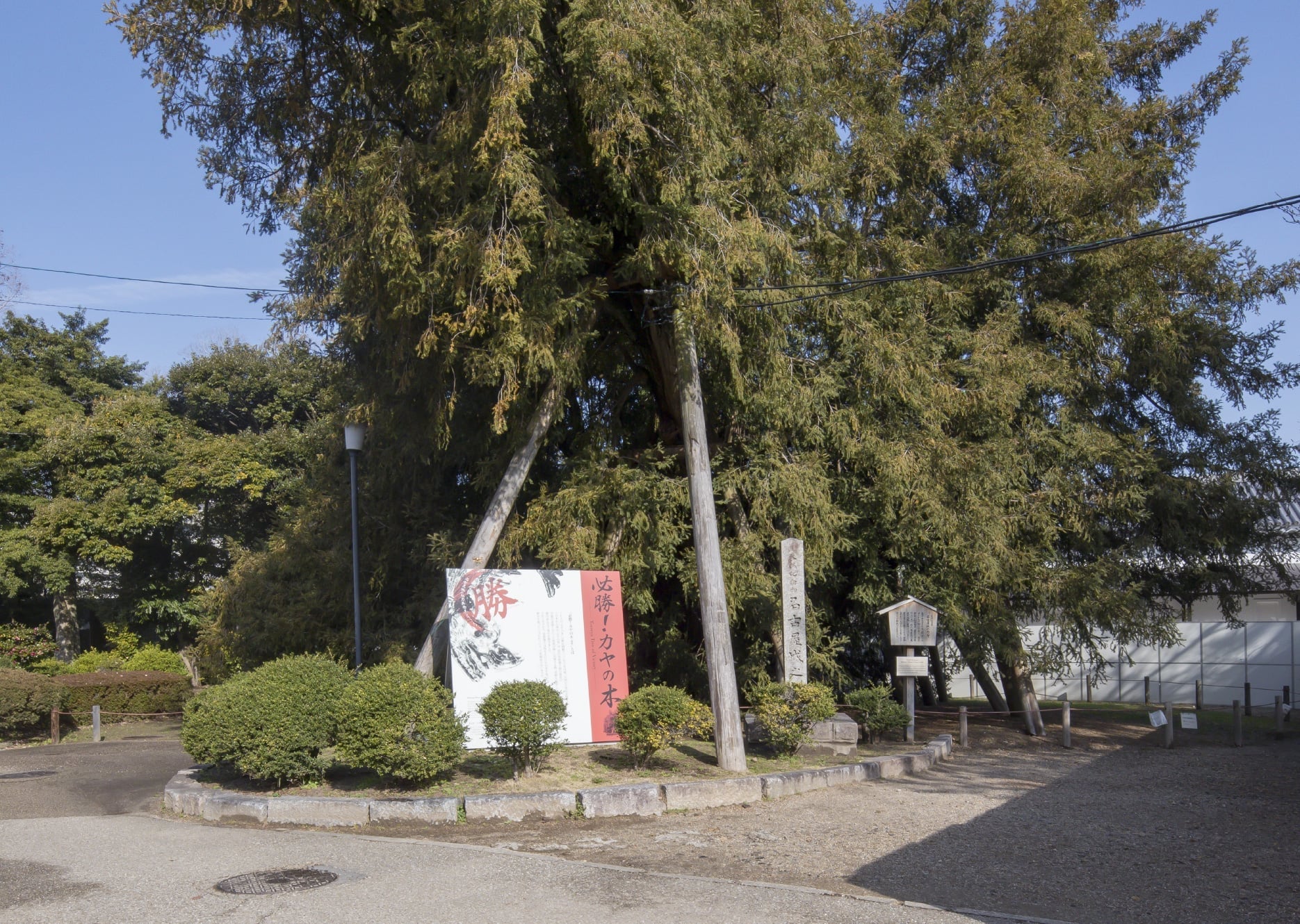 나고야성 | 나고야 성 공식 사이트